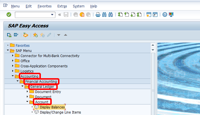 How to Display the GL Account Balance in SAP - FS10N - sap96.com